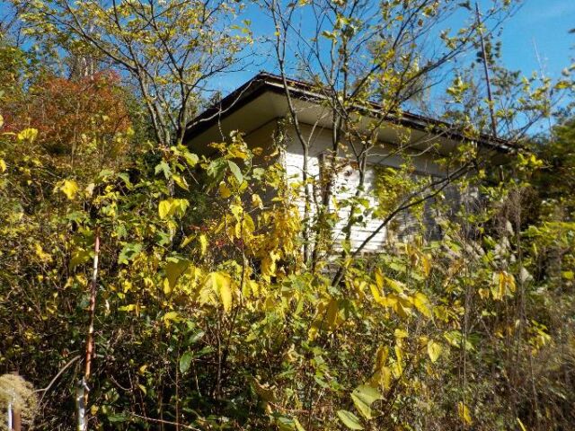 R3-7-1 | Sumai リゾート