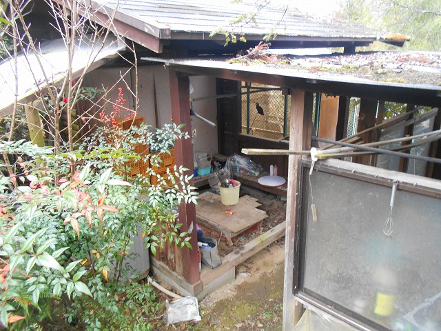 671ena-17 | Sumai リゾート