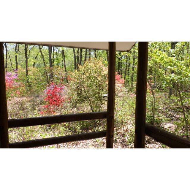 23-0015-8 | Sumai リゾート